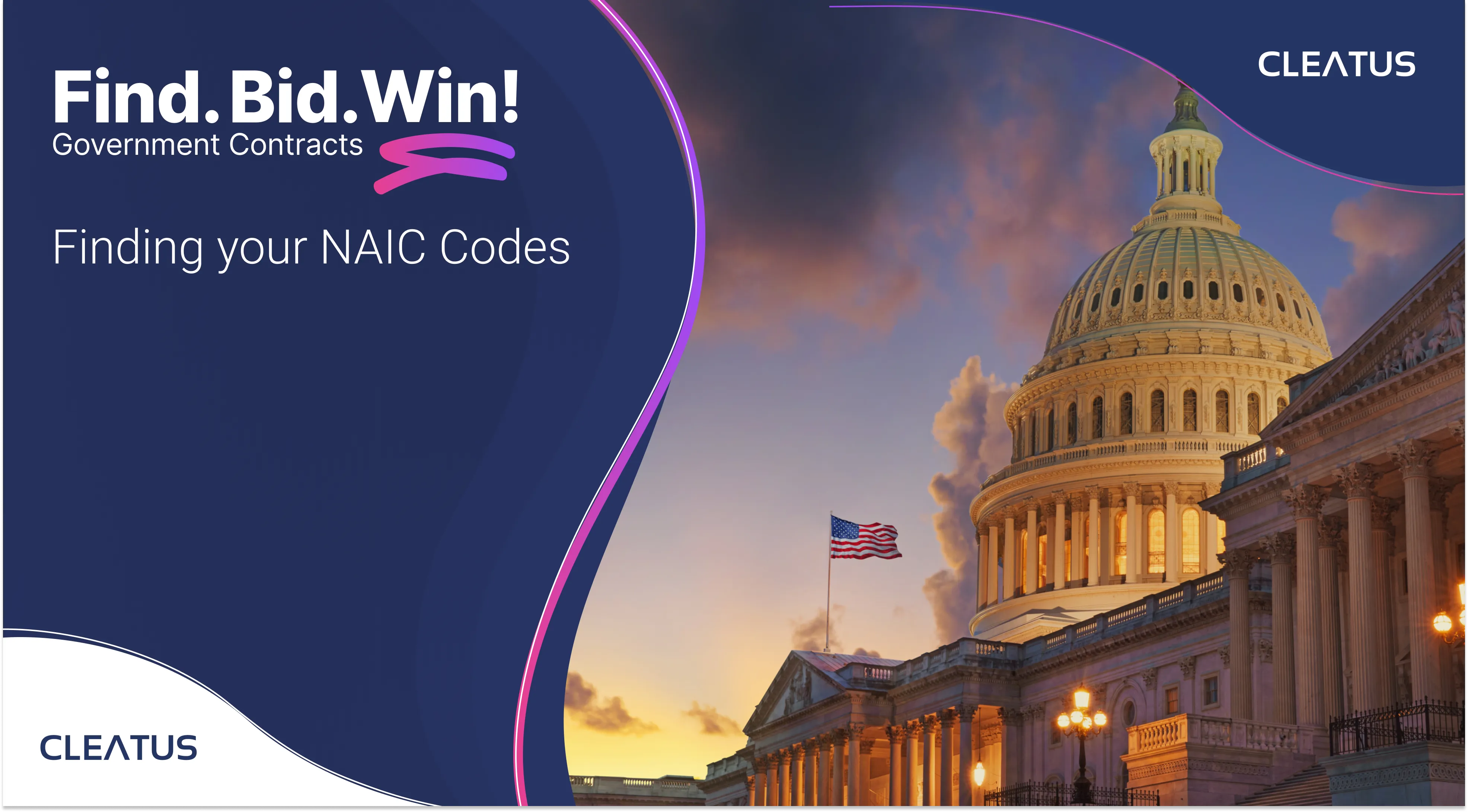 Finding Your NAICS Codes | CLEATUS