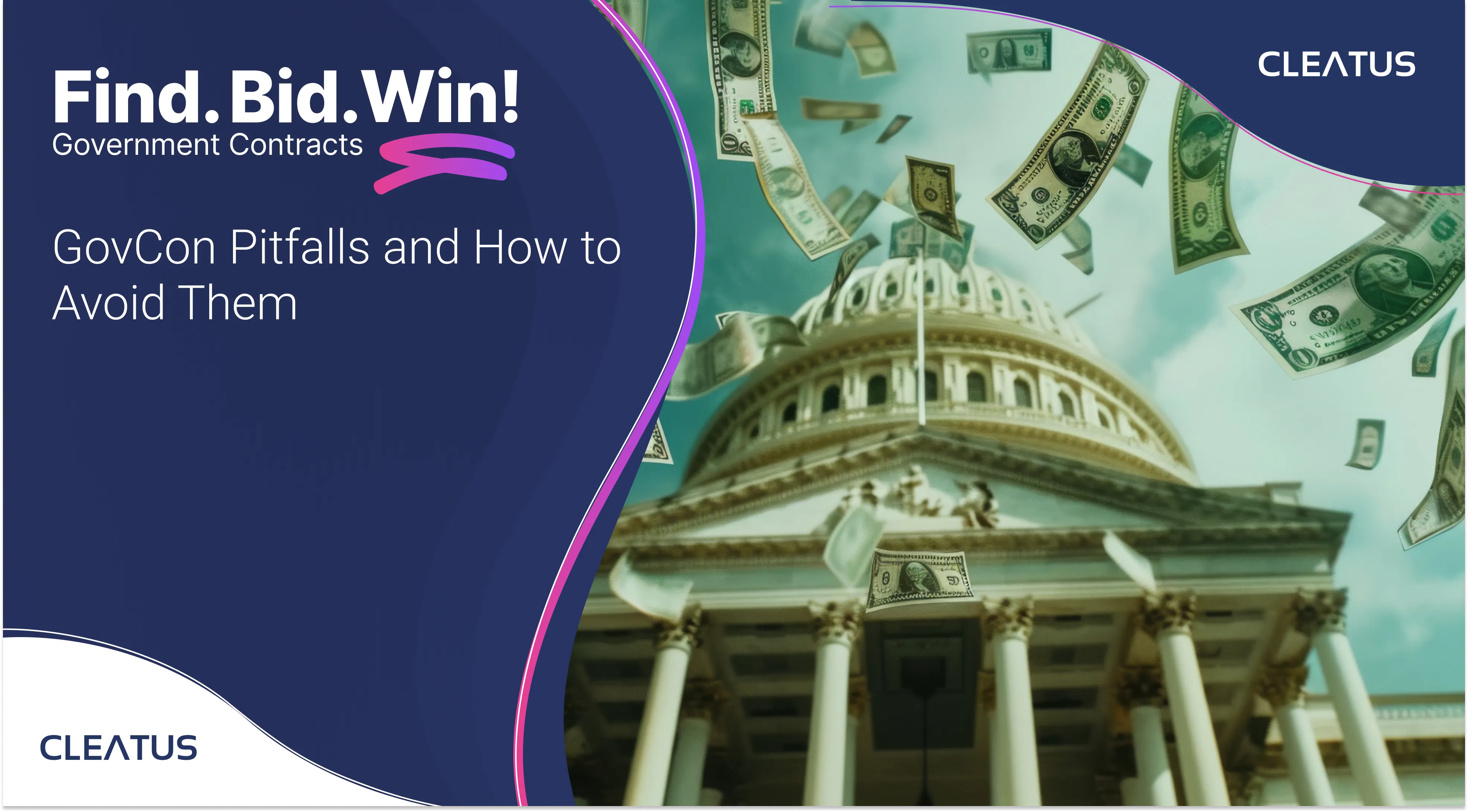 Avoiding Pitfalls in Government Contracts | CLEATUS