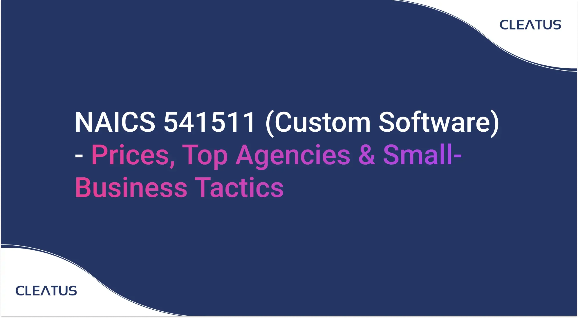 NAICS 541511 (Custom Software) - Prices, Top Agencies & Small-Business Tactics | CLEATUS